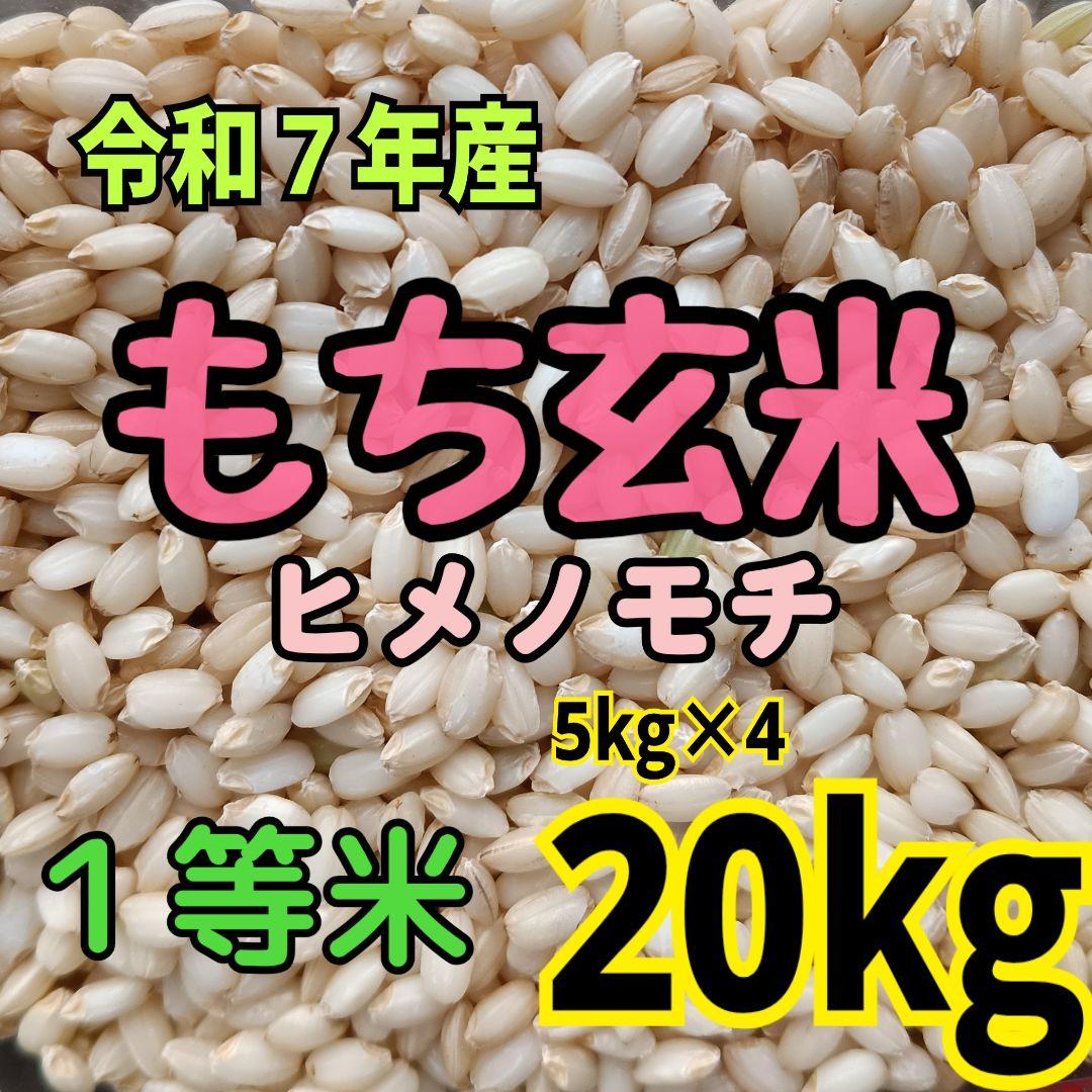 もち玄米■ヒメノモチ　20㎏(5kg×4袋)一等米☆農家直送