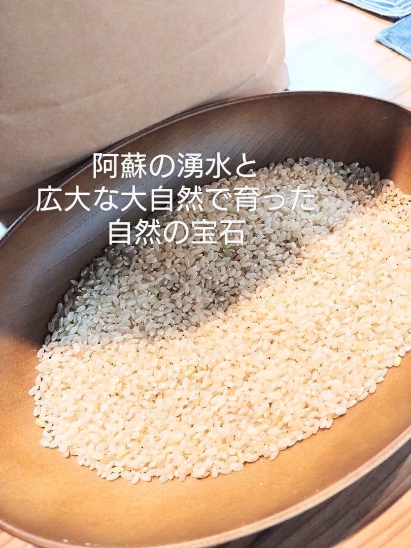 令和7年 自然栽培米 イセヒカリ 20kg 玄米