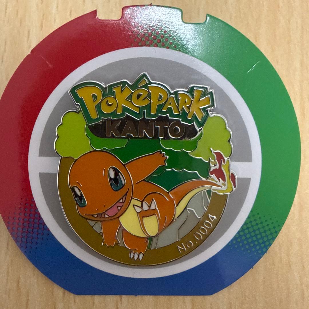 ポケパーク カントー ヒトカゲ リザードピンバッジ ピンズセット　限定品