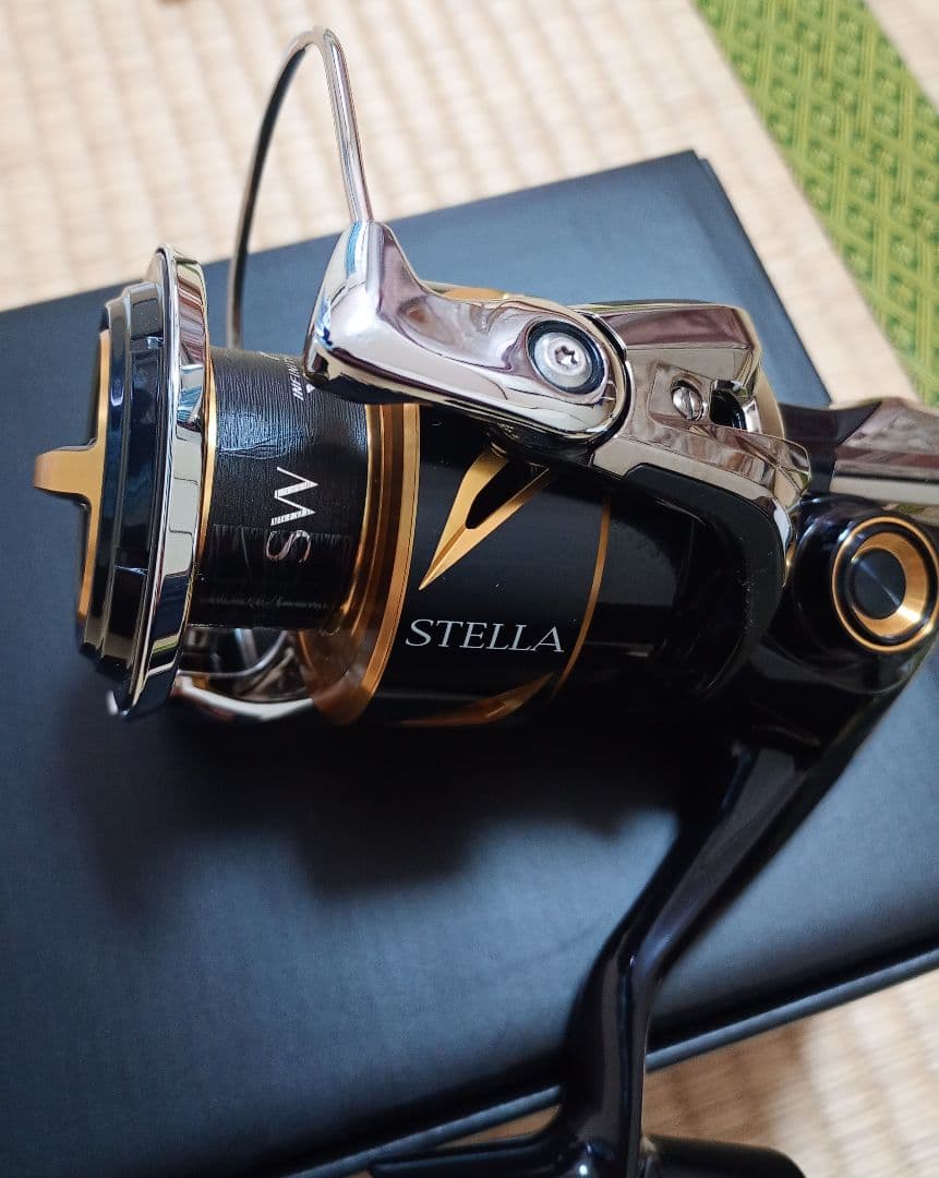 Shimano 20ステラSW6000HG スピンニングリール