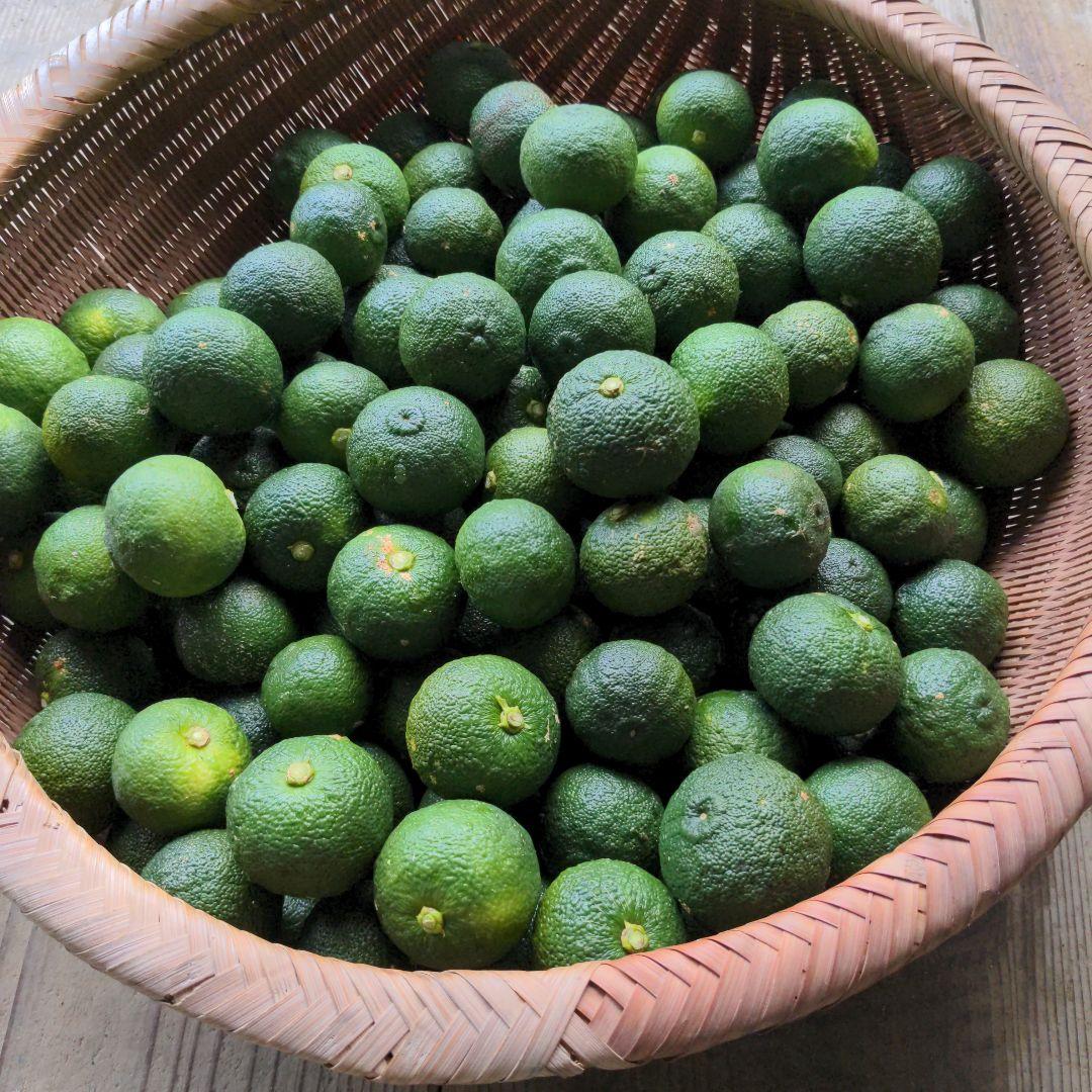 ゆず胡椒に！青柚子２０kg（愛媛県産）。そうめんの薬味、冷奴、刺身、酒、焼酎に◎