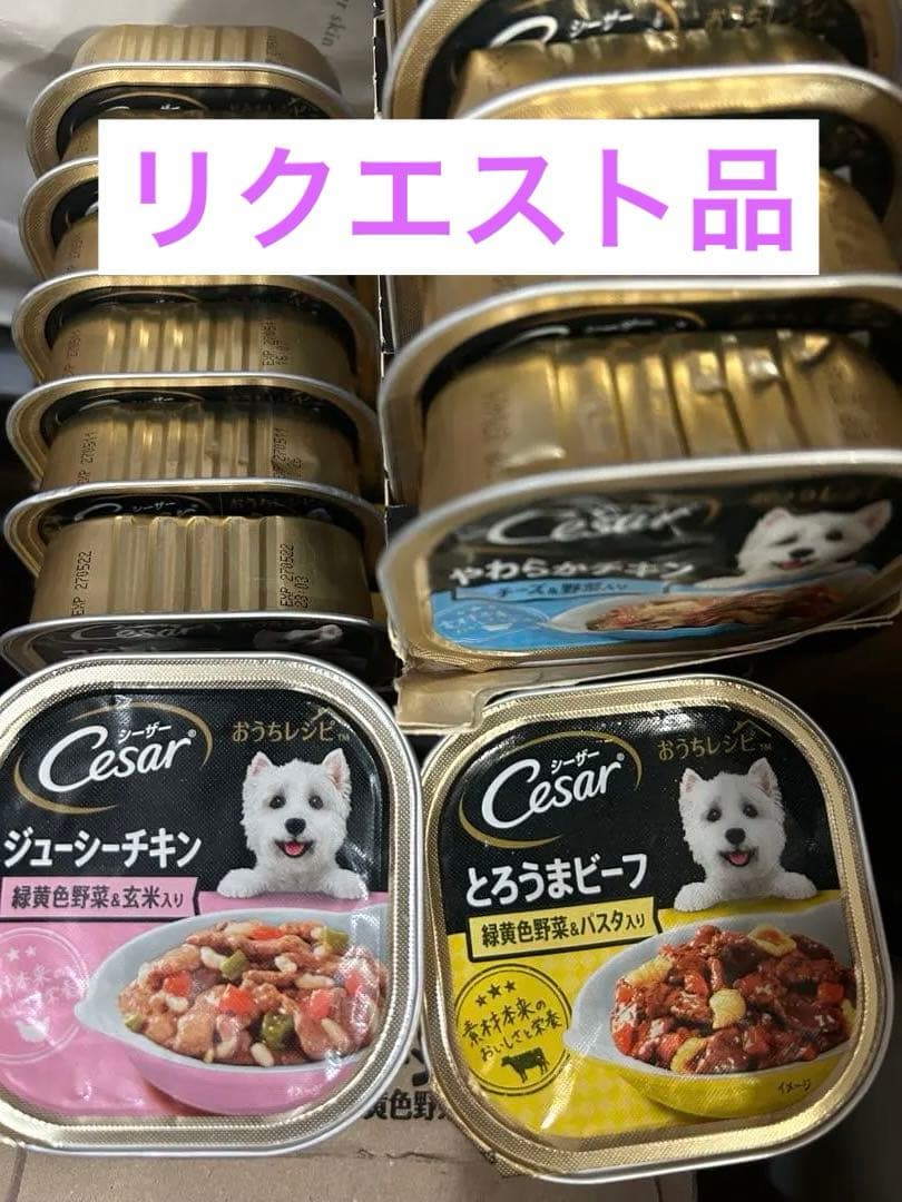 リクエスト品　Cesar 犬用
