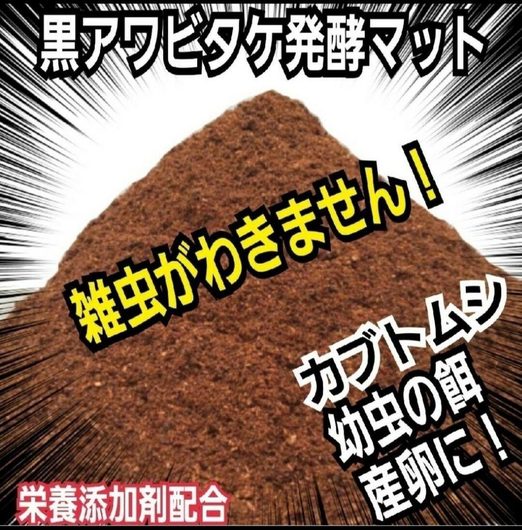 カブトムシ専用　黒アワビタケ発酵マット【120L】幼虫の餌・産卵に！雑虫湧かない