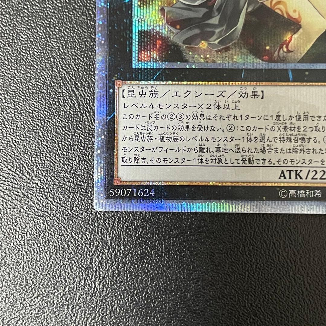 遊戯王 アロメルスの蟲惑魔 20thシークレットレア