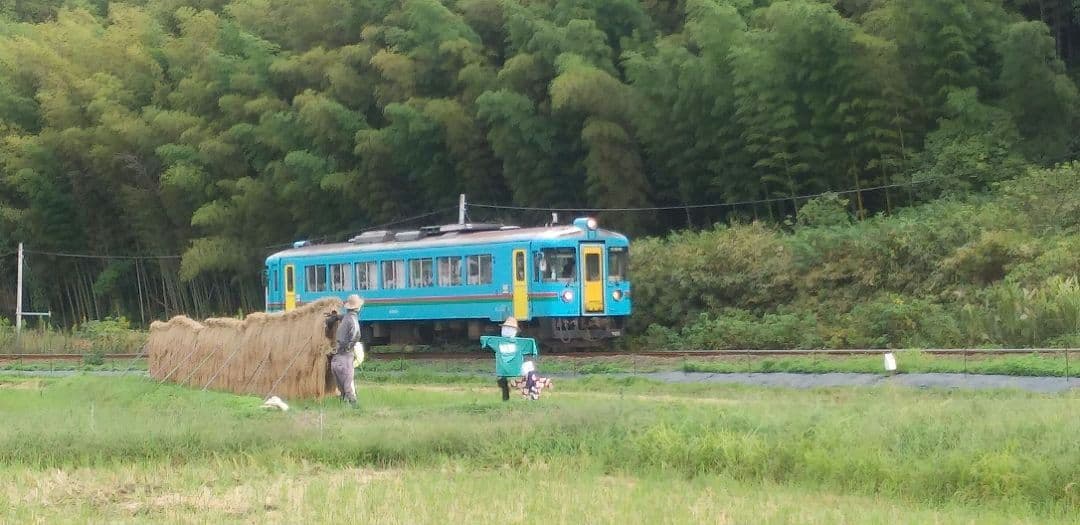 特別栽培米を農家よりお届けします。冷めても美味しい郷のこめ9kg（おまけ有）