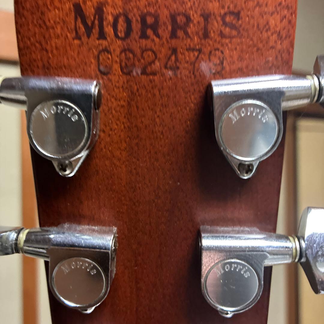 Morris W-40 アコースティックギター 専用ケース付