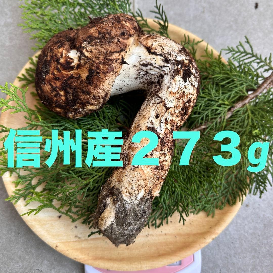 信州産松茸273g