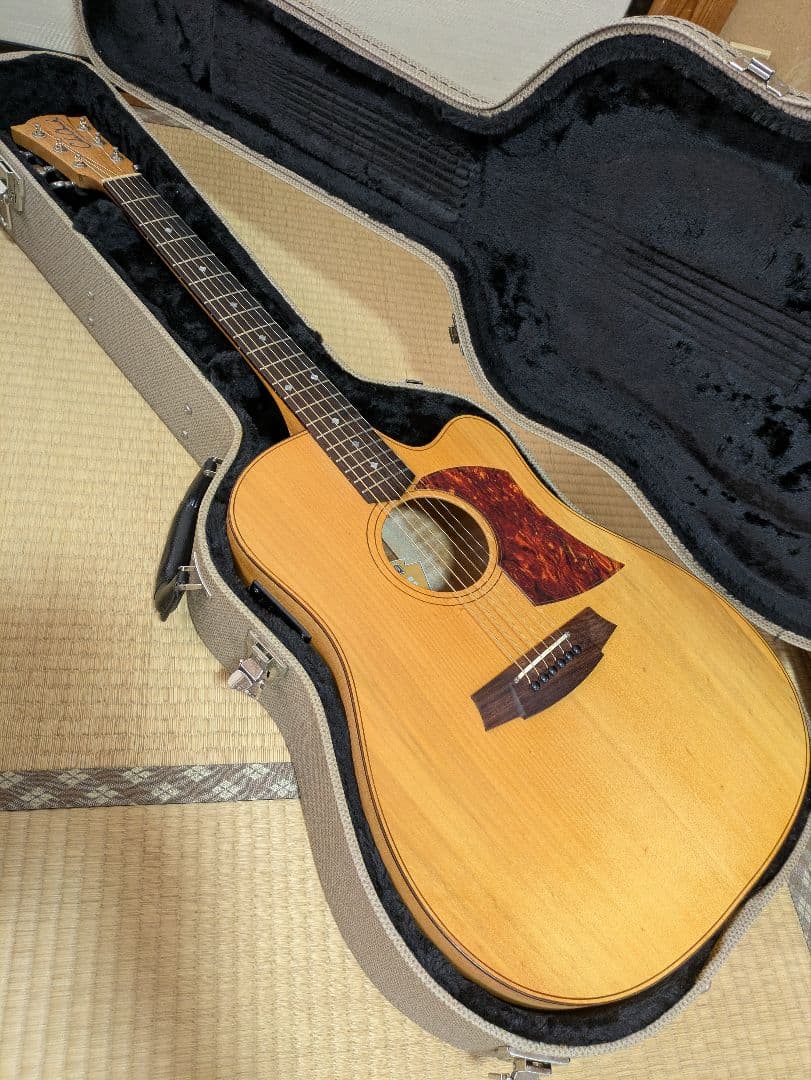 コールクラーク　Cole Clark FL2AC　アコースティックギター
