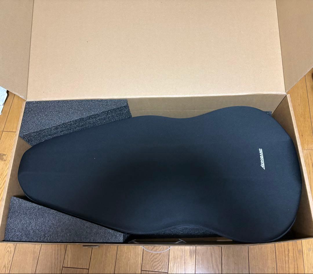 AeroBand Guitar Black 専用バッグ、マイク、アクセサリー付