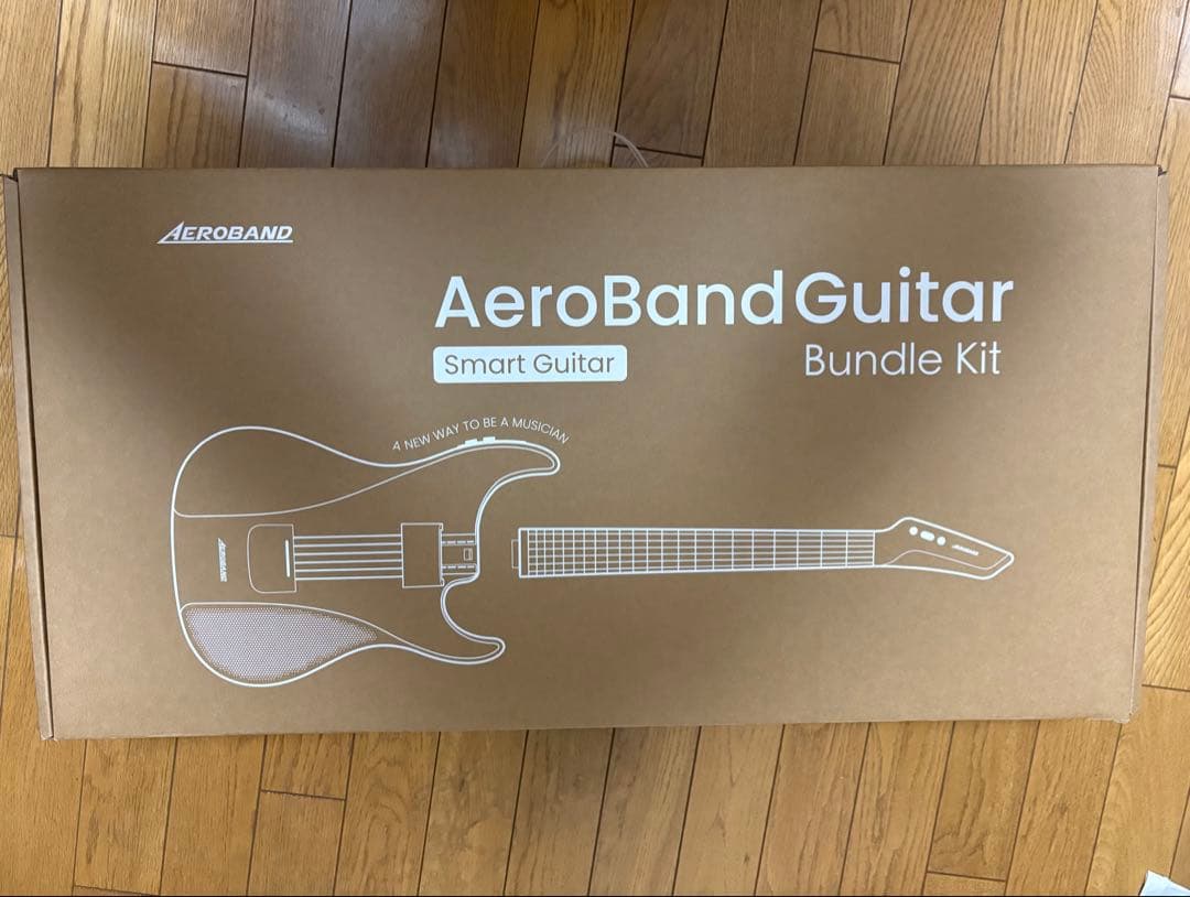 AeroBand Guitar Black 専用バッグ、マイク、アクセサリー付
