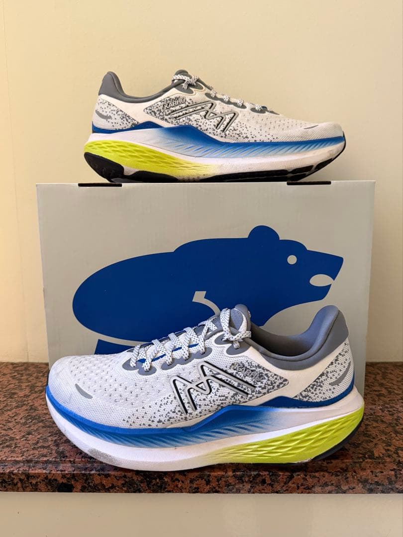 KARHU_MESTARI RUN 1.5_カルフ_メスタリ_28.0cm