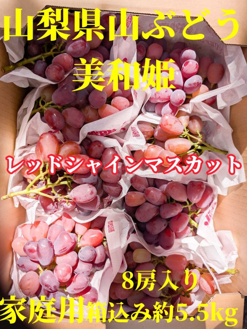 山梨県産ぶどう　美和姫　8房入り箱込み約5.5kg