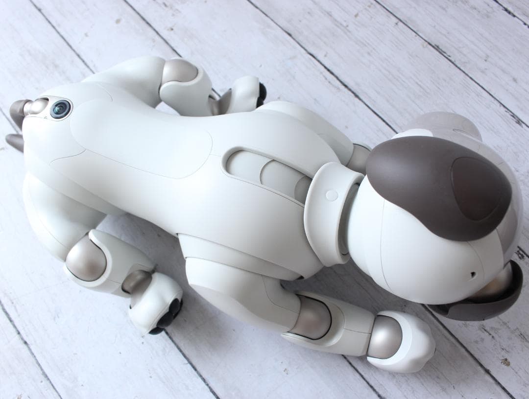 SONY AIBO アイボ 本体 ERS-1000 SIMカードなし