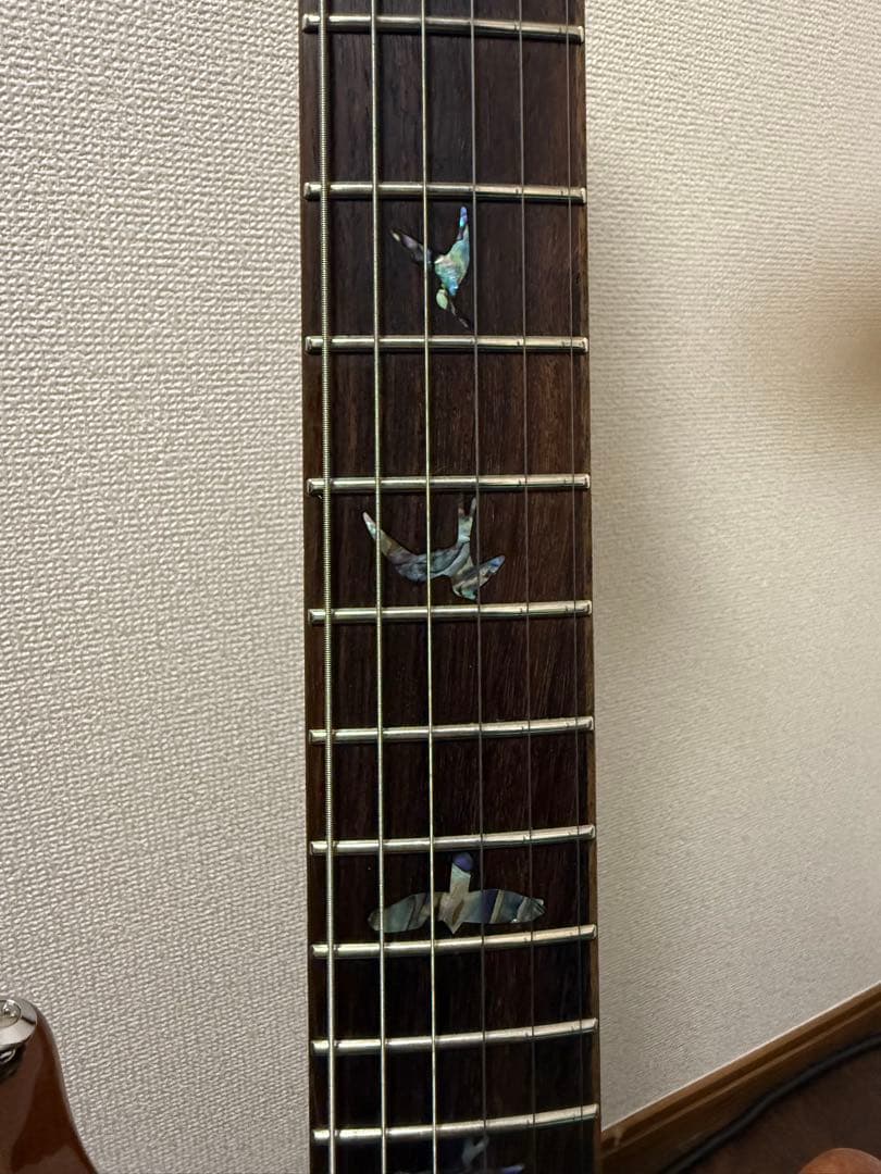 PRS SE Paul's Guitar ポールリードスミス　ポールズギター