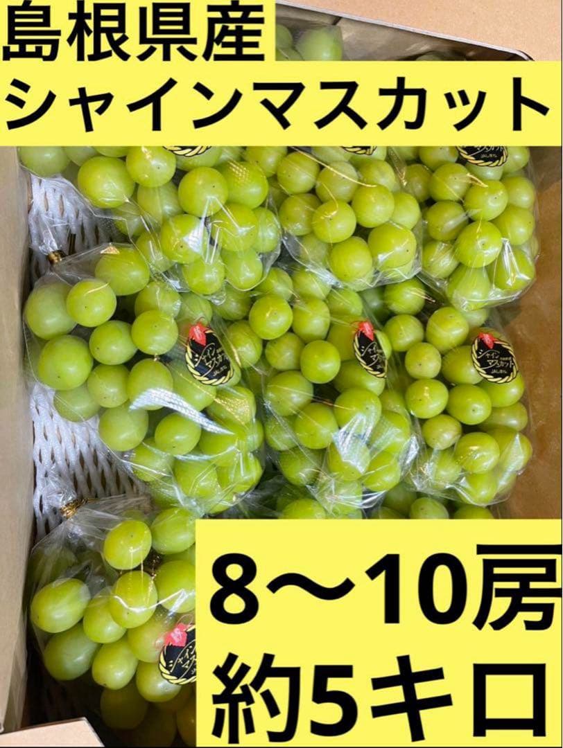 ⑧【島根県産】シャインマスカット約5キロ
