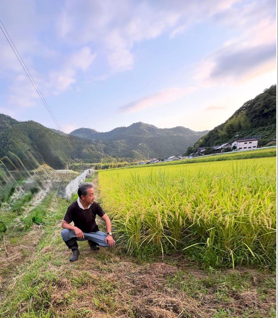 令和7年度愛媛県産コシヒカリ10k 有機肥料で作ったお米　 プレミアム(一等米)