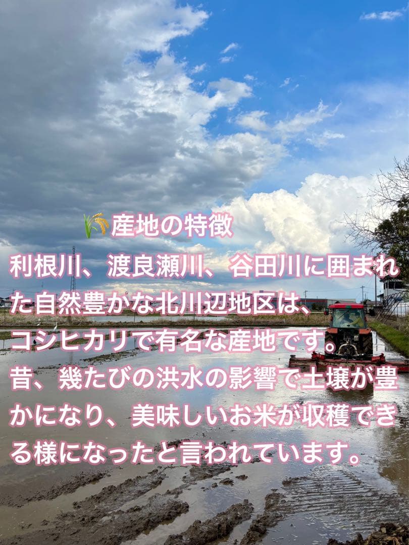令和7年 新米 コシヒカリ 玄米30kg（白米27キロ）埼玉北川辺産 特別栽培米