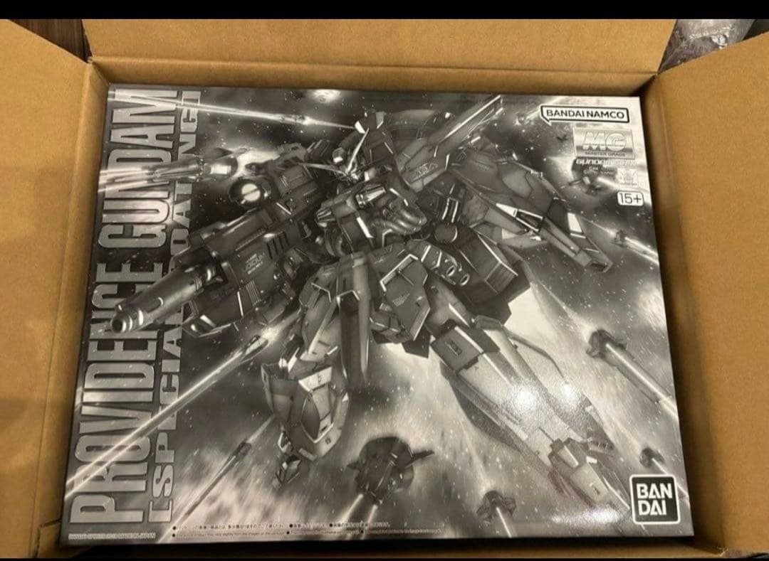新品　MG プロヴィデンスガンダム スペシャルコーティング