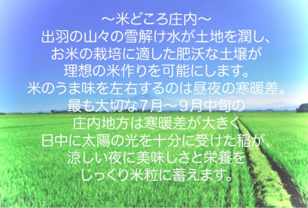 農家直送！令和７年産　はえぬき　山形県庄内産　白米１０ｋｇ