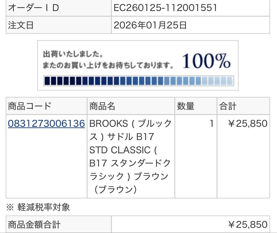 BROOKS ブルックス サドル B17 CLASSIC スタンダードクラシック