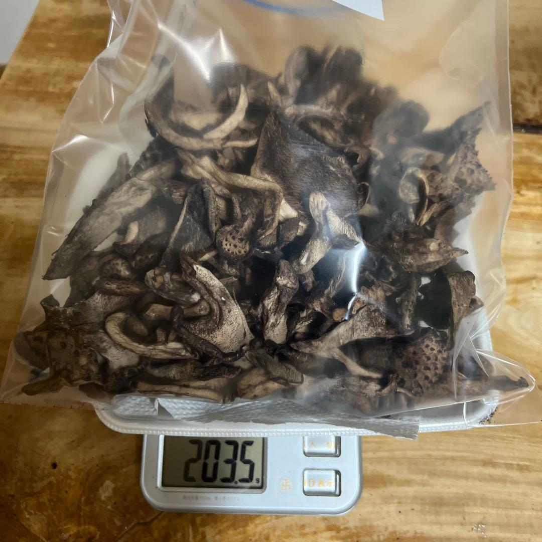 香茸　乾燥品　600g以上