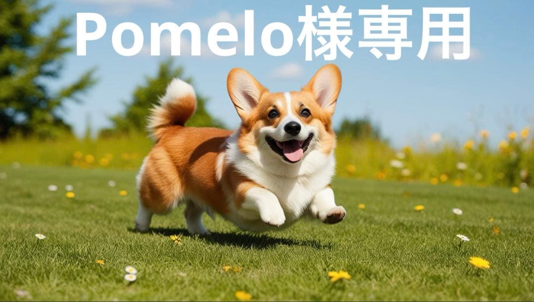 犬雑貨・オーナーズグッズ Pomelo