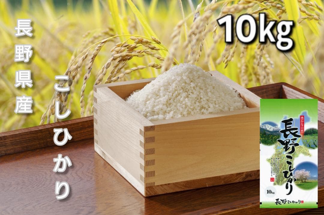 令和7年産 長野県産 コシヒカリ白米10キロ　精米したてをお届け‼