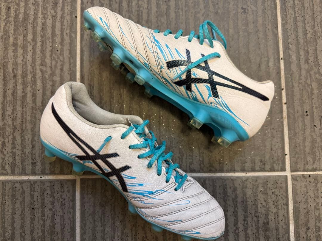 シューズ ASICS DS LIGHT x-fly pro limited 24.5cm
