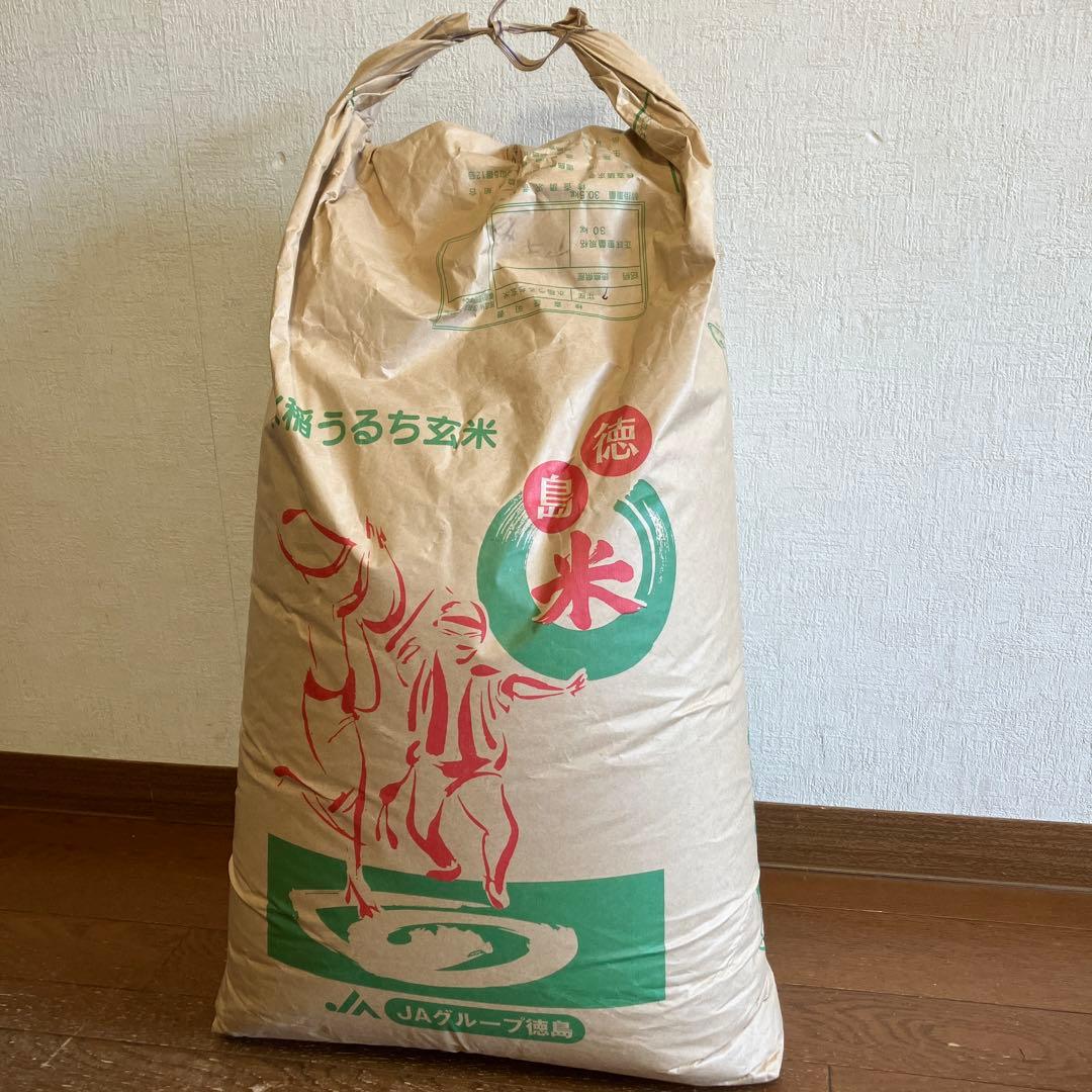 うるち玄米 30kg 徳島県産