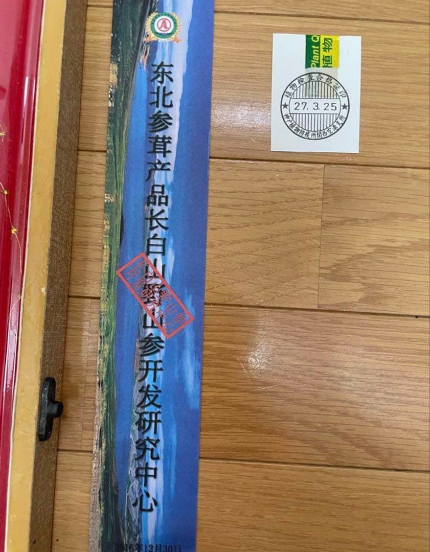 鑑定書付き 中国山参人参　置物　飾り物　高麗人参 シリアル付き