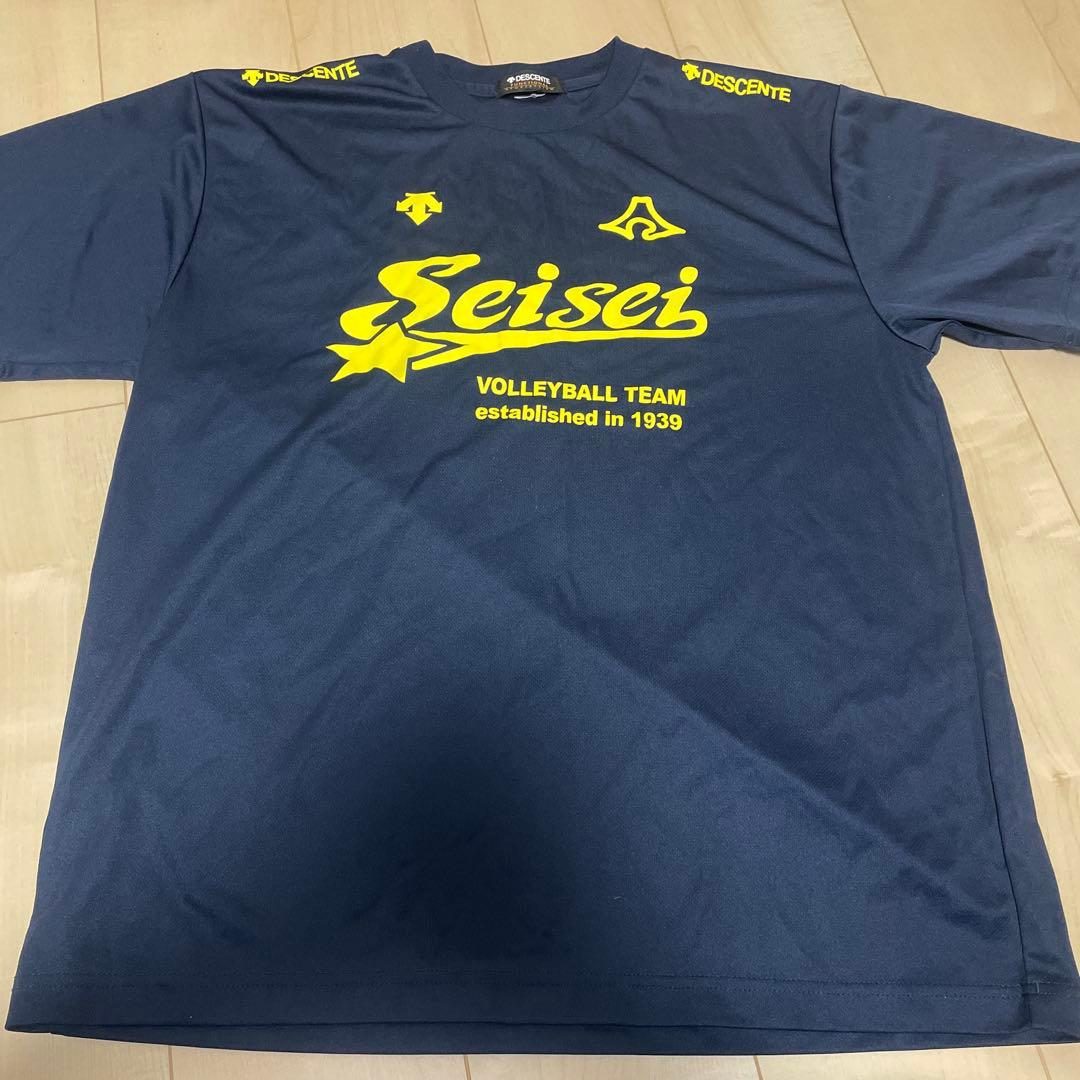 DESCENTE Seisei Volleyball Team シャツ