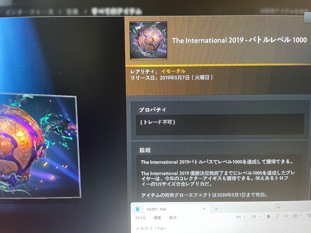 非売品Dota2 TI 2019 Collector's Aegis