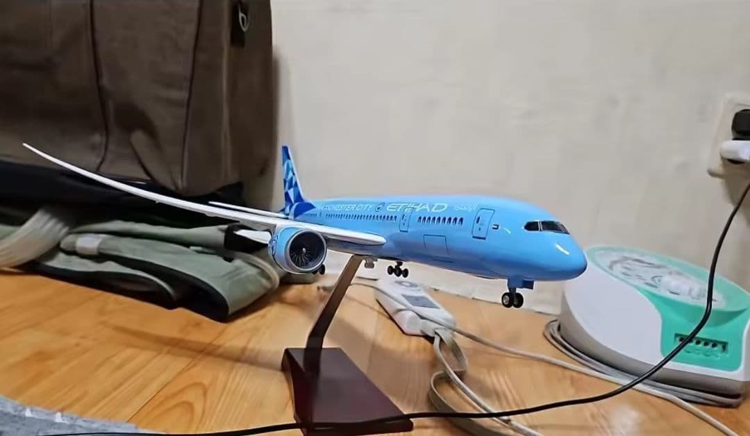 エティハド航空 B787 ドリームライナー 1/130 LEEモデル 特別塗装