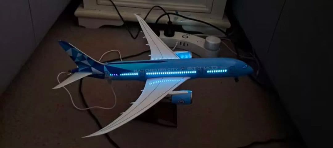 エティハド航空 B787 ドリームライナー 1/130 LEEモデル 特別塗装