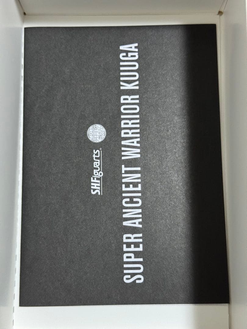 真骨彫 超古代戦士クウガ 仮面ライダークウガ フィギュアーツ