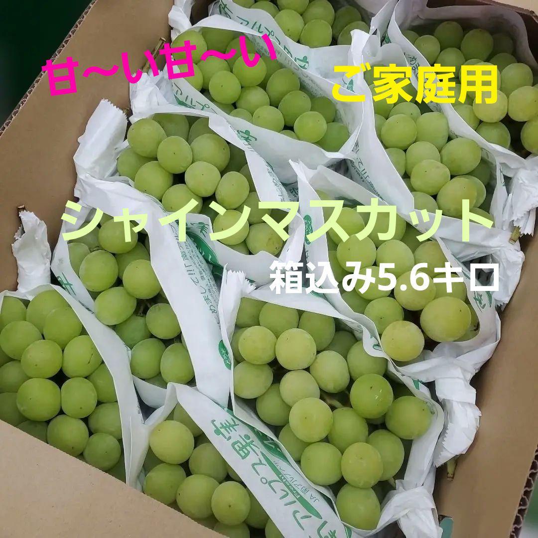 5️⃣ 山梨県産 シャインマスカット １０房入り 箱込み5.6キロ