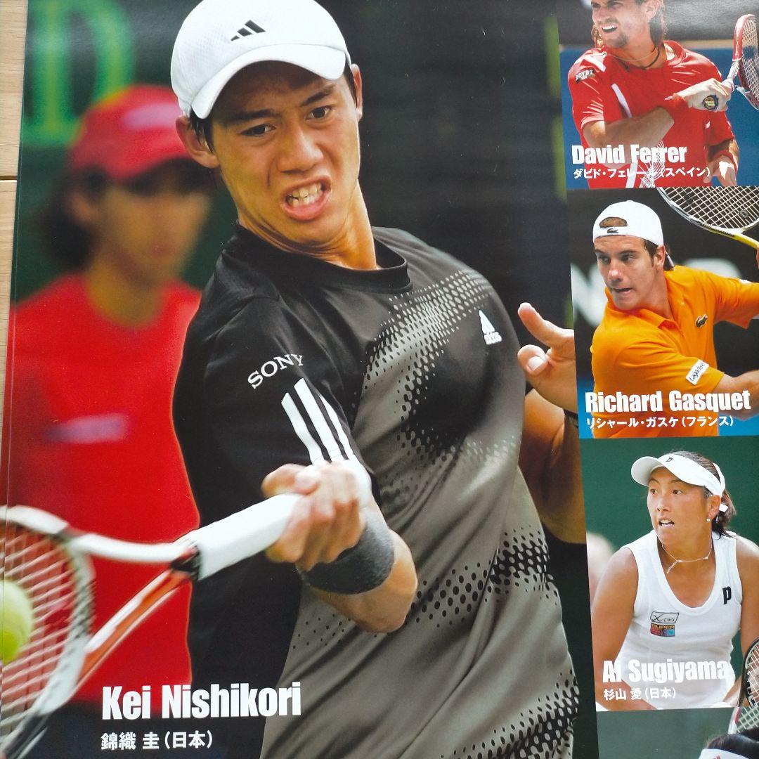 【希少品】AIG OPEN 2008 ポスター 2枚組