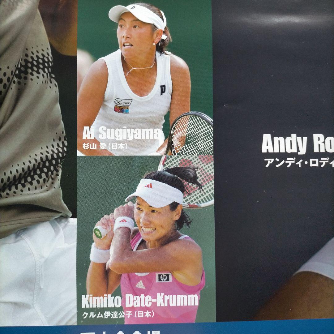 【希少品】AIG OPEN 2008 ポスター 2枚組