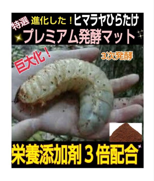 極上☆ギネス狙いに！プレミアム3次発酵カブトムシマット【5袋】特殊アミノ酸強化！