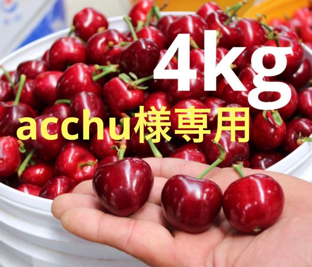 acchu　アメリカンチェリー4kg