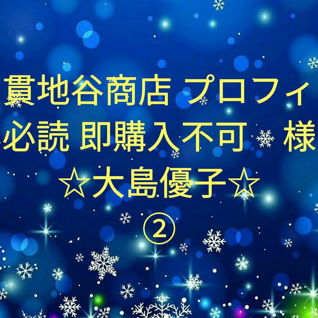 貫地谷商店 プロフィ必読 即購入不可　　大島優子セット②