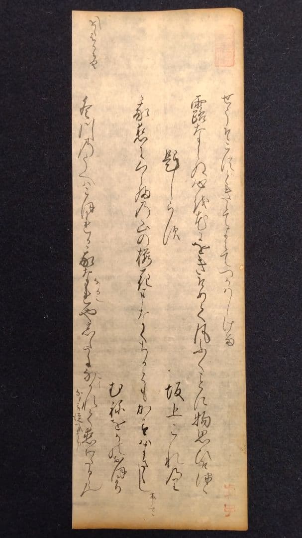 【古筆589-591】古今和歌集 紀貫之 松平不昧公正室落款入 古文書茶道掛軸