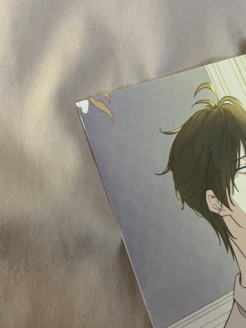 ある姫 ある日、お姫様になってしまった件について 購入特典 はがき ポスカ