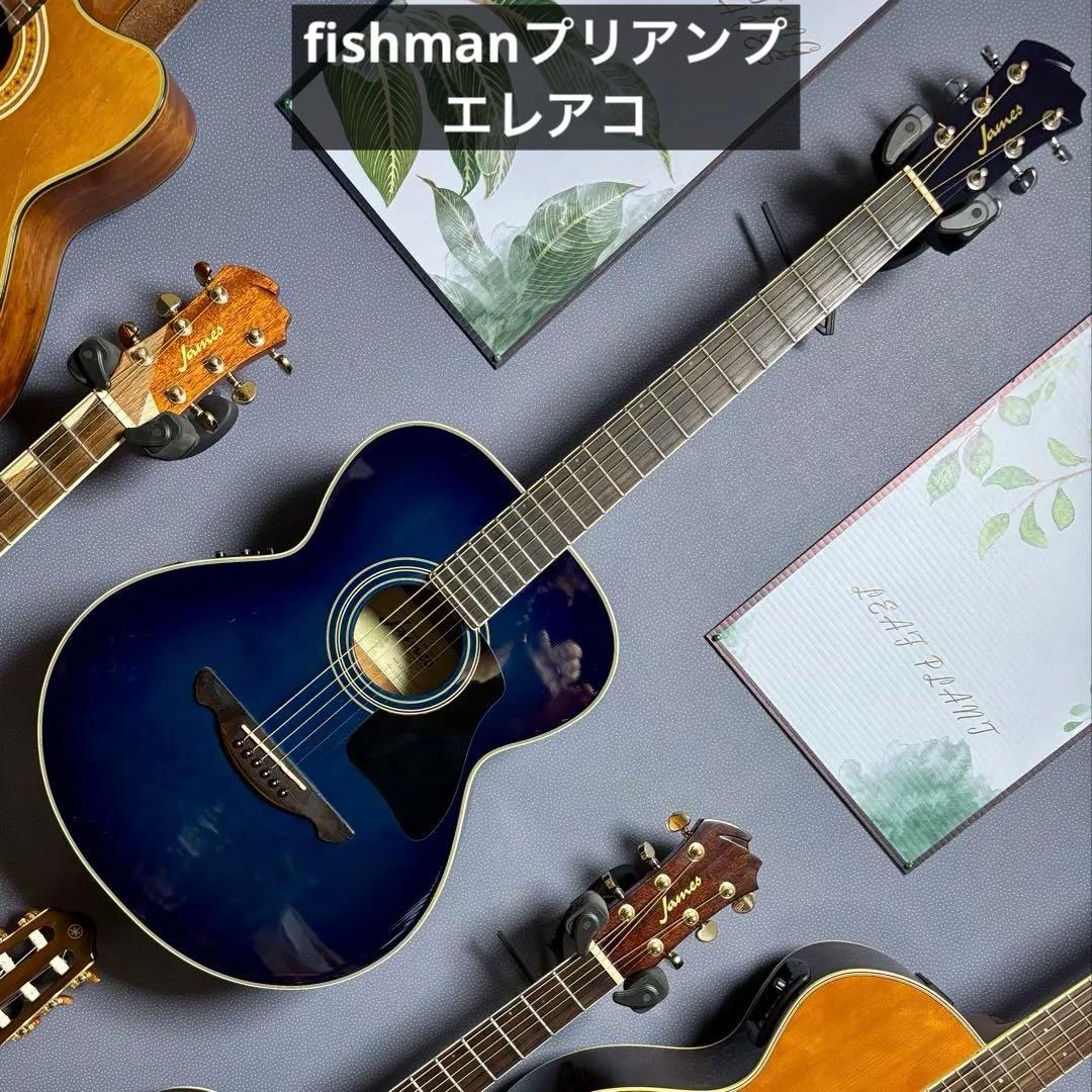 【美品エレアコ】James JF400-SBB fishmanプリアンプ装着