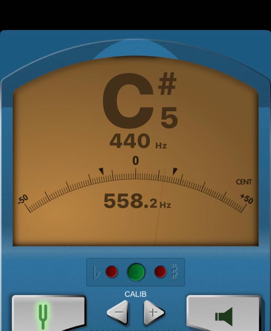 その他 Abalone Platinum w/ Ocean Gold Inside