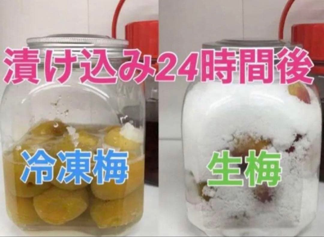 1210❄️クール便「冷凍完熟南高梅」4L5kg 梅酒　シロップ用(梅干し不可)