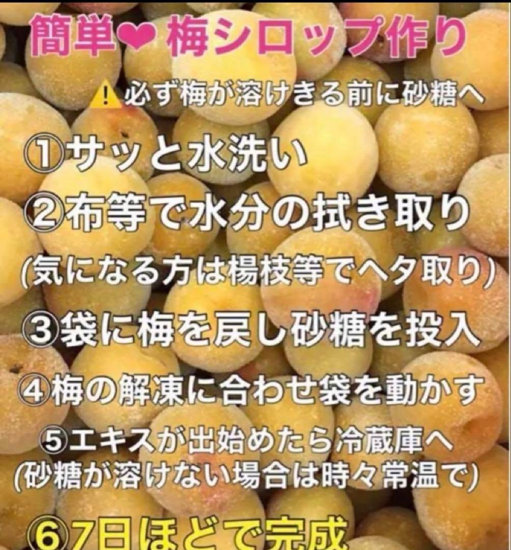 1210❄️クール便「冷凍完熟南高梅」4L5kg 梅酒　シロップ用(梅干し不可)