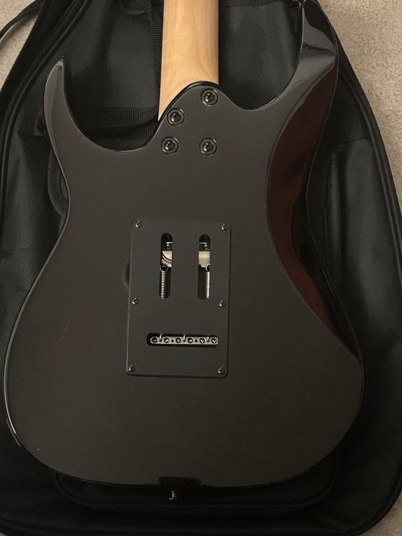Ibanez RGV250-BK ソフトケース アーム 説明書付属 値下げ交渉〇