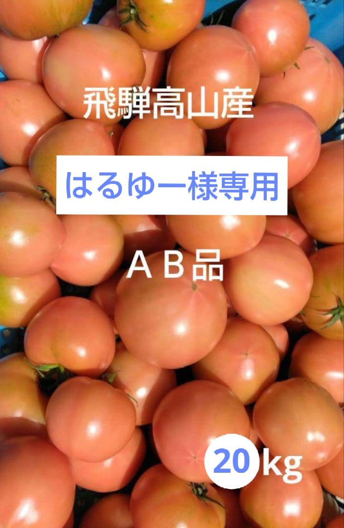 はるゆー　飛騨高山産　トマト　ＡＢ品 20kg（箱込）