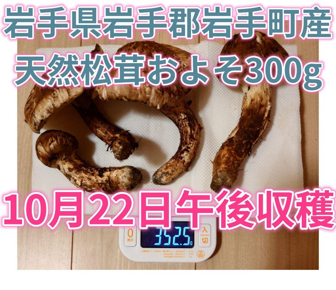 #岩手県岩手郡岩手町産天然松茸およそ300g
